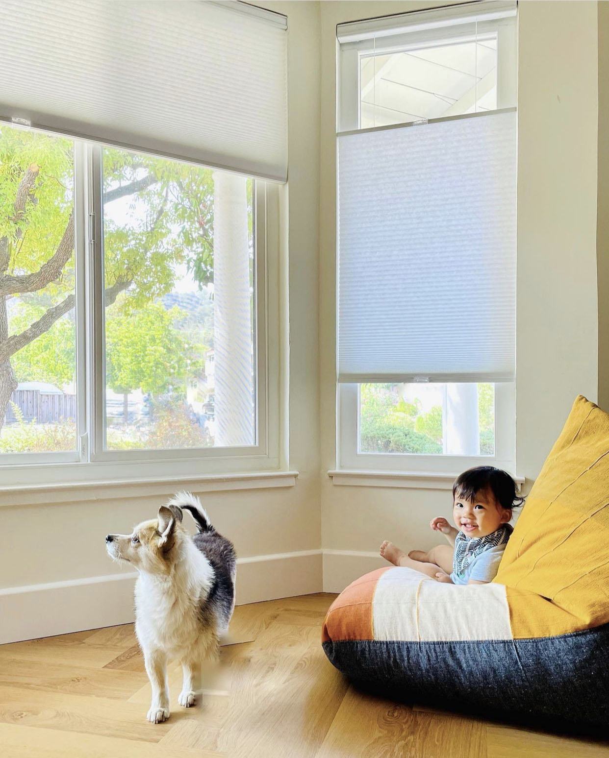 4 Most Popular Window Shade Features in 2021 - Blinds Chalet Blog